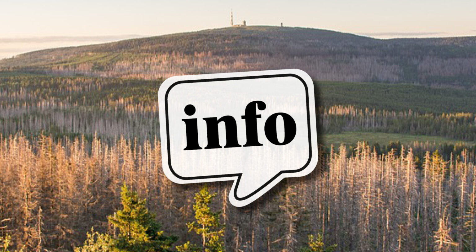 Bio erleben auf zwei Rädern – Erfolgreicher Auftakt für „Goslar isst ...